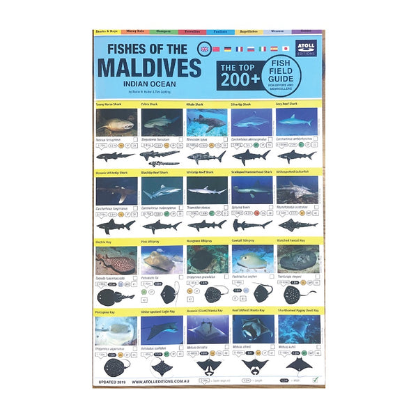 FISH FIELD GUIDE